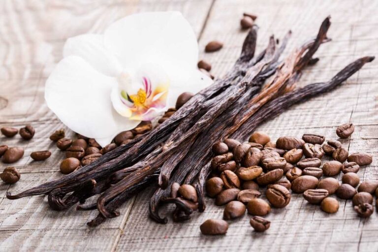 How to Use Vanilla Beans: Master the Art of Infusing Flavor with These ...
